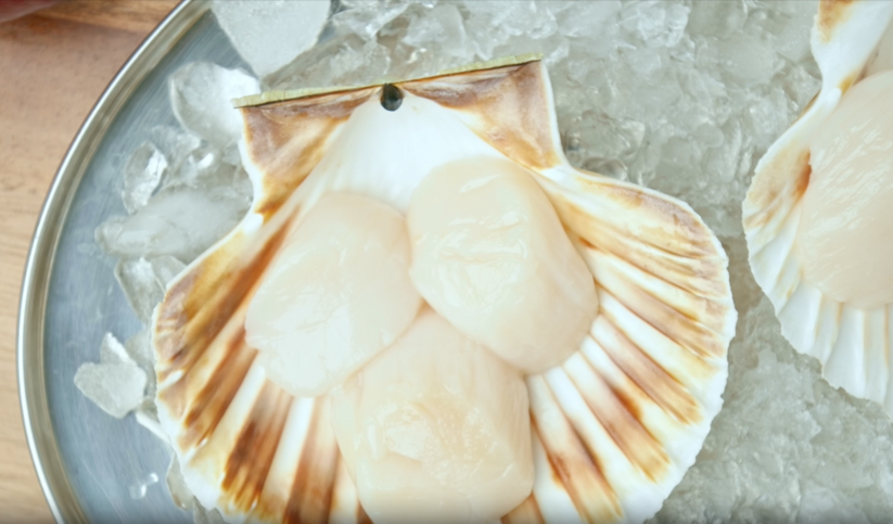 Japanese Scallops | Wild, Sushi-Grade XL Hokkaido Scallops – Nordic Catch